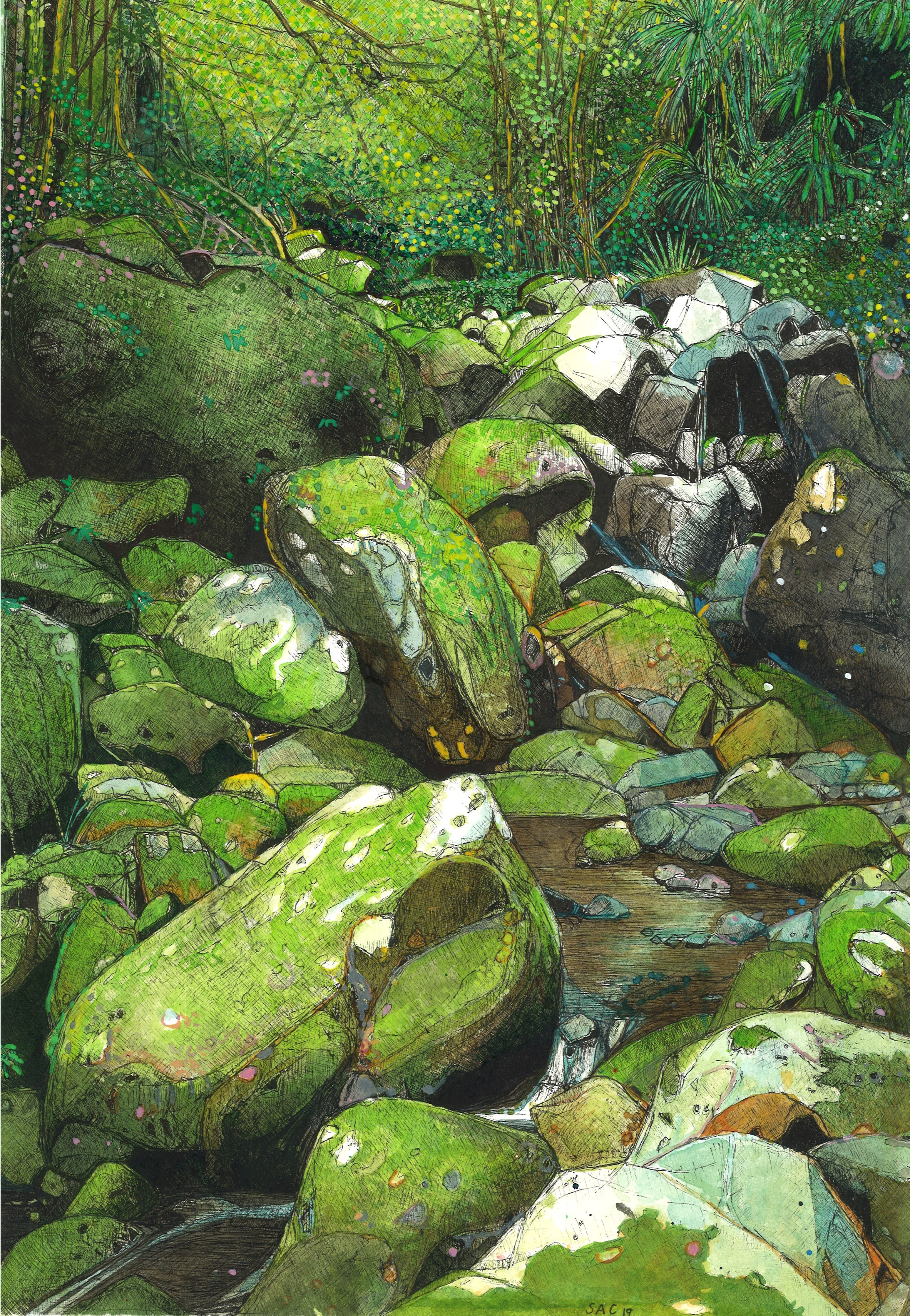 Journeys Through the Rainforest – Art By Shane.C